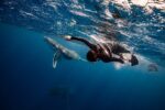 自由潜水 Freediving - 张哲瀚官方网站 | Zhang Zhehan Official Website